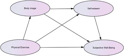 Frontiers | The Relationship Between Physical Exercise and Subjective ...