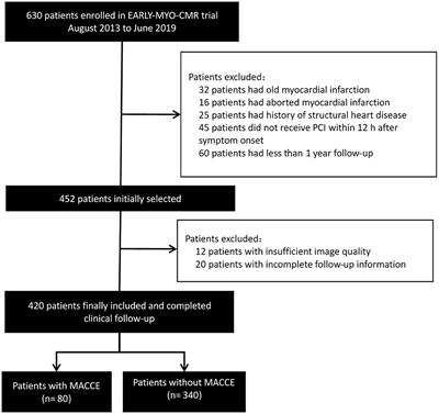 Frontiers | Impact of Concomitant Impairments of the Left and Right ...