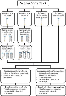 Frontiers | The Effects of Sampling and Storage Conditions on the ...