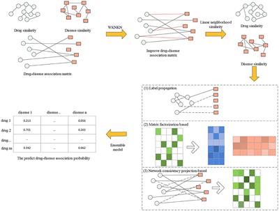 Frontiers | Predicting Drug-Disease Association Based on Ensemble Strategy