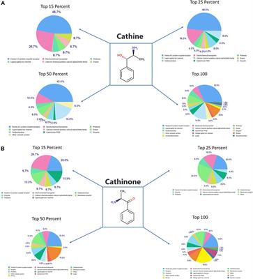 Frontiers | Unraveling the Catha edulis Extract Effects on the Cellular ...