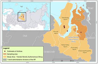 Frontiers | Reindeer Anthrax in the Russian Arctic, 2016: Climatic ...