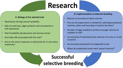 Frontiers | An Experimental Framework for Selectively Breeding Corals ...