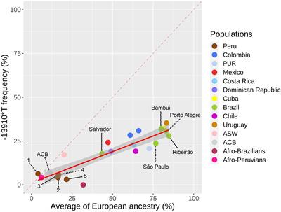 Frontiers | Tracing the Distribution of European Lactase Persistence ...