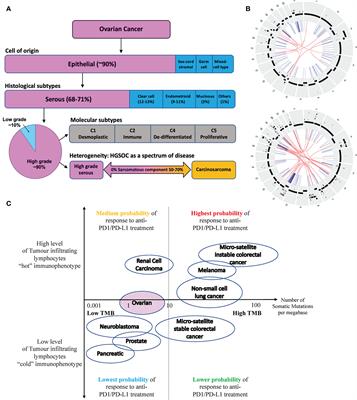 Frontiers | T-Cell Receptor Therapy in the Treatment of Ovarian Cancer ...
