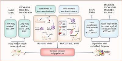 Frontiers | Strategies for the Construction of Mouse Models With ...