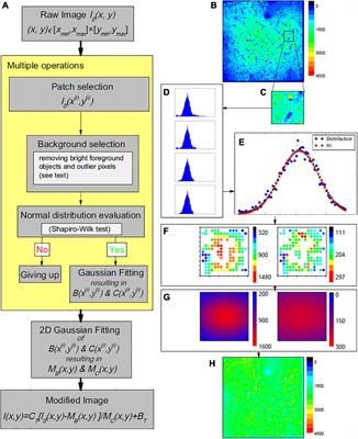 Frontiers | Single Image-Based Vignetting Correction for Improving the ...
