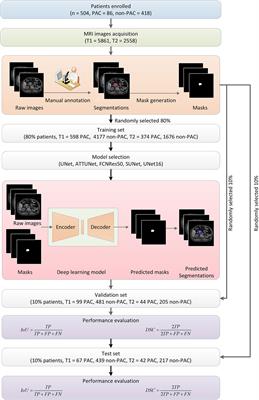 Frontiers | Identifying Periampullary Regions in MRI Images Using Deep ...