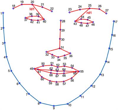 Frontiers | Catching a Liar Through Facial Expression of Fear