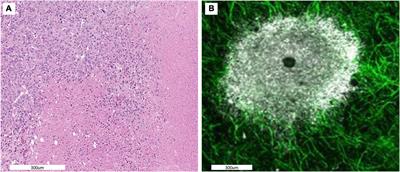 Frontiers | Coupled Source-Sink Habitats Produce Spatial and Temporal ...