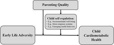 Frontiers | Targeting Parenting Quality to Reduce Early Life Adversity ...