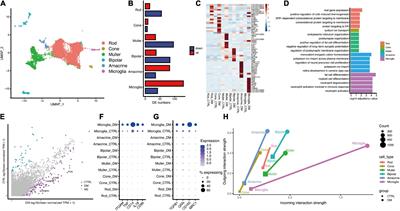 Frontiers | Single-Cell Transcriptome Profiling Reveals the Suppressive ...
