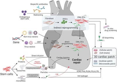 Frontiers | Bioengineering Technologies for Cardiac Regenerative Medicine