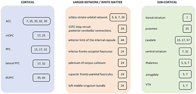 Frontiers | Computational Predictions for OCD Pathophysiology and ...