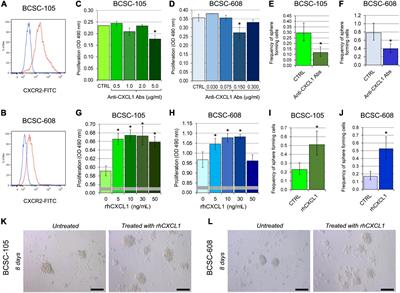 Frontiers | The C-X-C Motif Chemokine Ligand 1 Sustains Breast Cancer ...