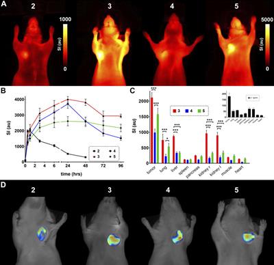 Frontiers | How Different Albumin-Binders Drive Probe Distribution of ...