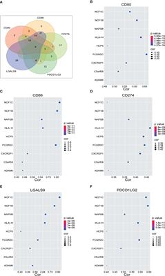Frontiers | Integrated Analysis of the Transcriptome Profile Reveals ...