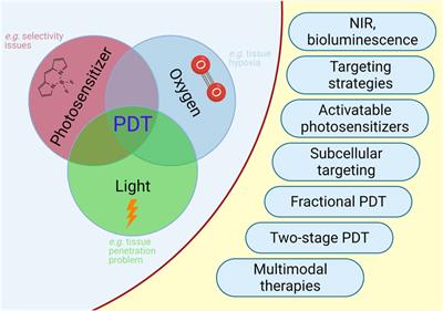 Frontiers | Photodynamic Therapy—Current Limitations and Novel Approaches
