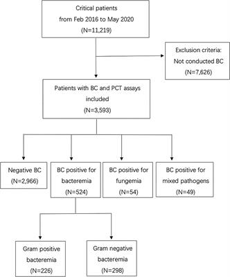 Frontiers | Mining of a Clinical Database: The Interpretation of ...