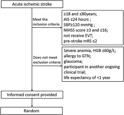 Frontiers | Rapid Intravenous Glyceryl Trinitrate in Ischemic Damage ...