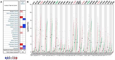 Frontiers | Integrative Analysis of MUC4 to Prognosis and Immune ...