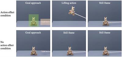 Frontiers | The Impact of Action Effects on Infants’ Predictive Gaze ...