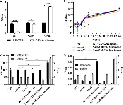 Frontiers | L-Arabinose Transport and Metabolism in Salmonella ...