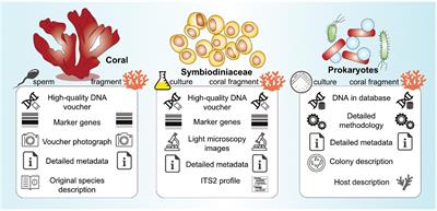 Frontiers | Consensus Guidelines for Advancing Coral Holobiont Genome ...