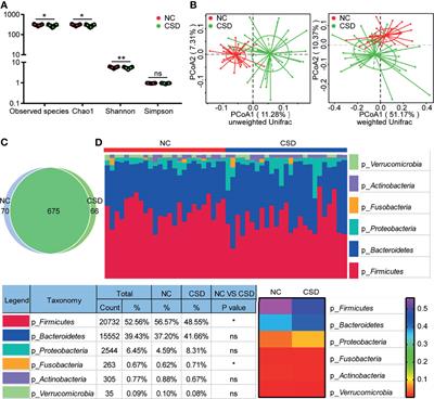 Frontiers | Biomarkers of Gut Microbiota in Chronic Spontaneous ...