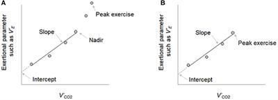 Frontiers | Oxygen Extraction Based on Inspiratory and Expiratory Gas ...