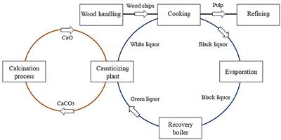 Kraft Process Diagram