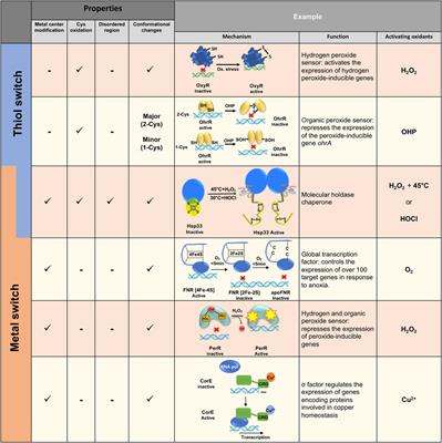 Frontiers | The Central Role of Redox-Regulated Switch Proteins in Bacteria