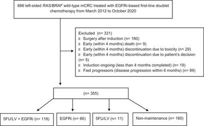 Frontiers | Post-Induction Management in Patients With Left-Sided RAS ...
