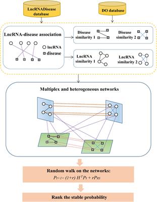 Frontiers | Predicting LncRNA–Disease Association by a Random Walk With ...