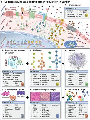 Frontiers | Navigating Multi-Scale Cancer Systems Biology Towards Model ...