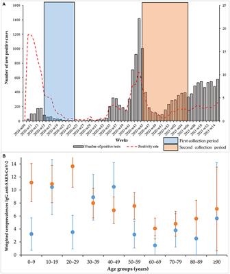 Frontiers | Impact of the Second Epidemic Wave of SARS-CoV-2: Increased ...