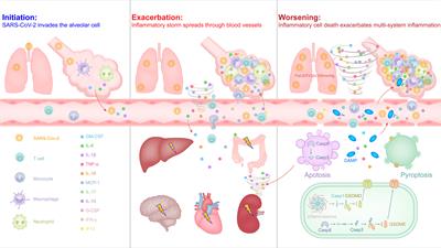 Frontiers | Complex Pathophysiological Mechanisms and the Propose of ...