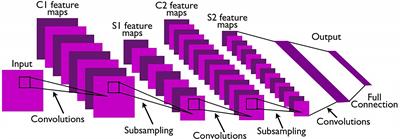 Frontiers | Review of Deep Learning Based Automatic Segmentation for ...