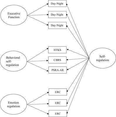 Frontiers | Self-Regulation in Preschool: Examining Its Factor ...
