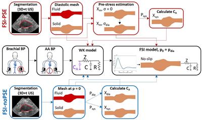 Frontiers | Ultrasound-Based Fluid-Structure Interaction Modeling of ...