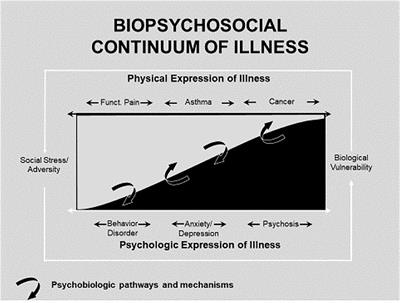 Frontiers | The Biobehavioral Family Model: An Evidence-Based Approach ...