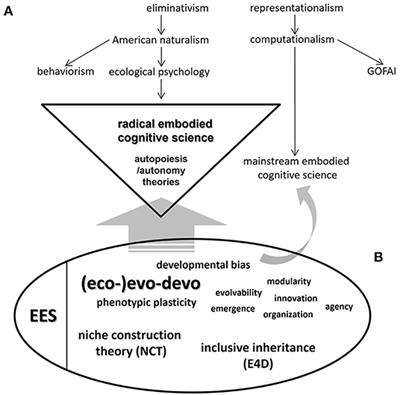 Frontiers | Is It Necessary to Integrate Evo-Devo to the Analysis and ...
