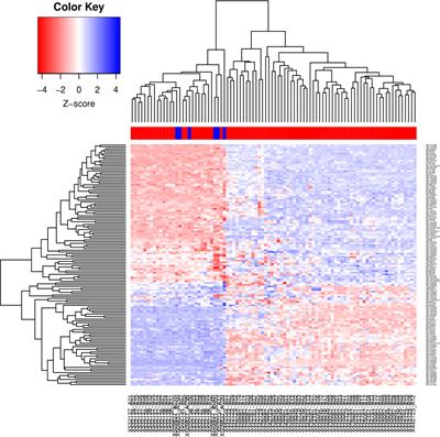 Frontiers | Inhibition of Wnt-β-Catenin Signaling by ICRT14 Drug ...