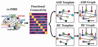 Frontiers | Identification of Autism Spectrum Disorder With Functional ...
