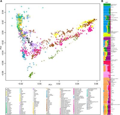 Frontiers | Genomic Insights Into the Genetic Structure and Natural ...