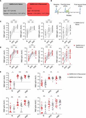 Frontiers | The mRNA-1273 Vaccine Induces Cross-Variant Antibody ...