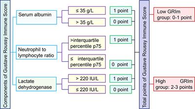 Frontiers | Gustave Roussy Immune Score as a Novel Prognostic Scoring ...