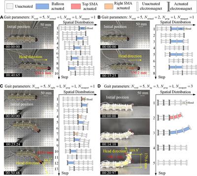 Frontiers | Yoshimura-origami Based Earthworm-like Robot With 3 ...