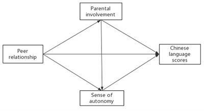 Frontiers | Chinese Primary School Students’ Peer Relationship and ...