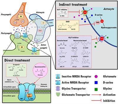 Frontiers | Directly and Indirectly Targeting the Glycine Modulatory ...